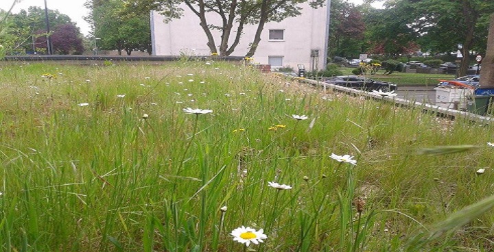 Parking and Garages Team - custom built for customers - Love ...