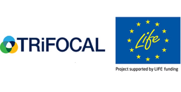 'TRiFOCAL' - Transforming City Food Habits for Life - Love LambethLove ...