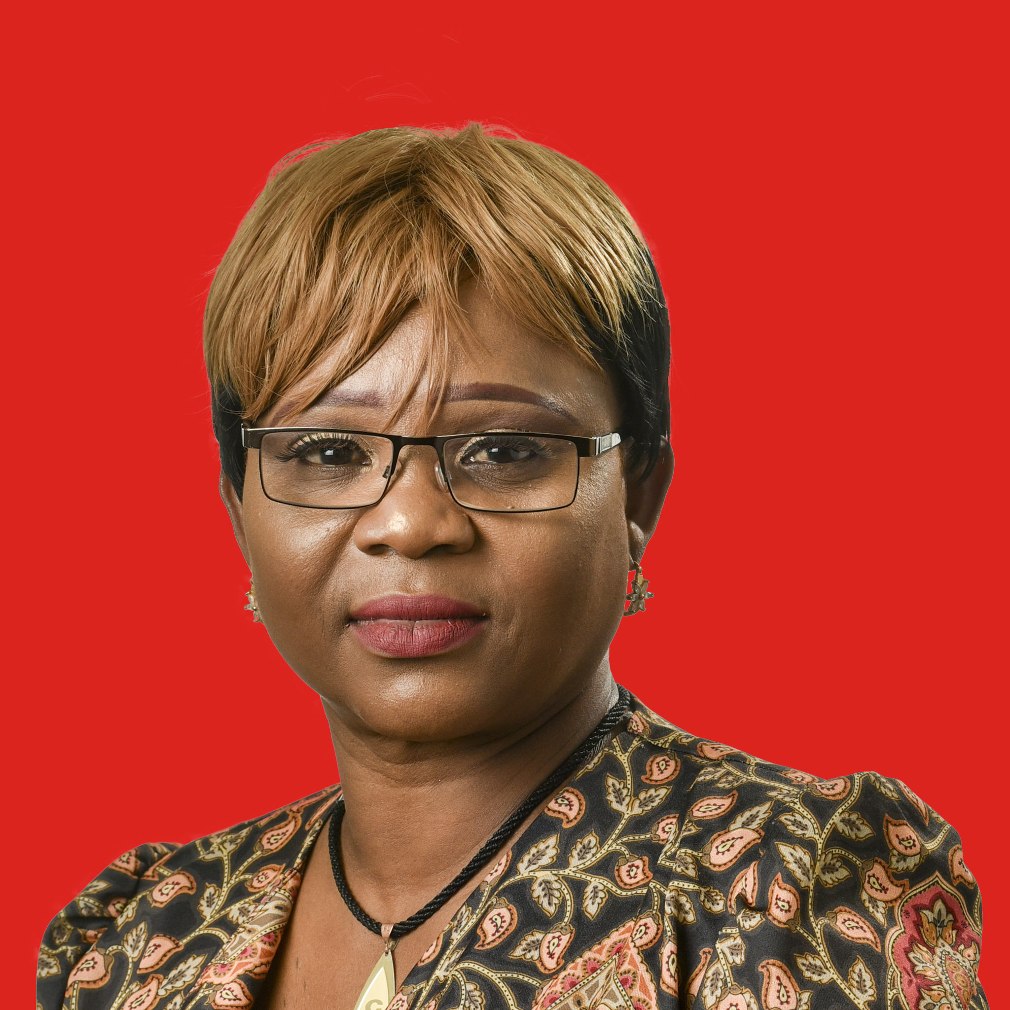Lambeth councillor images - Love LambethLove Lambeth